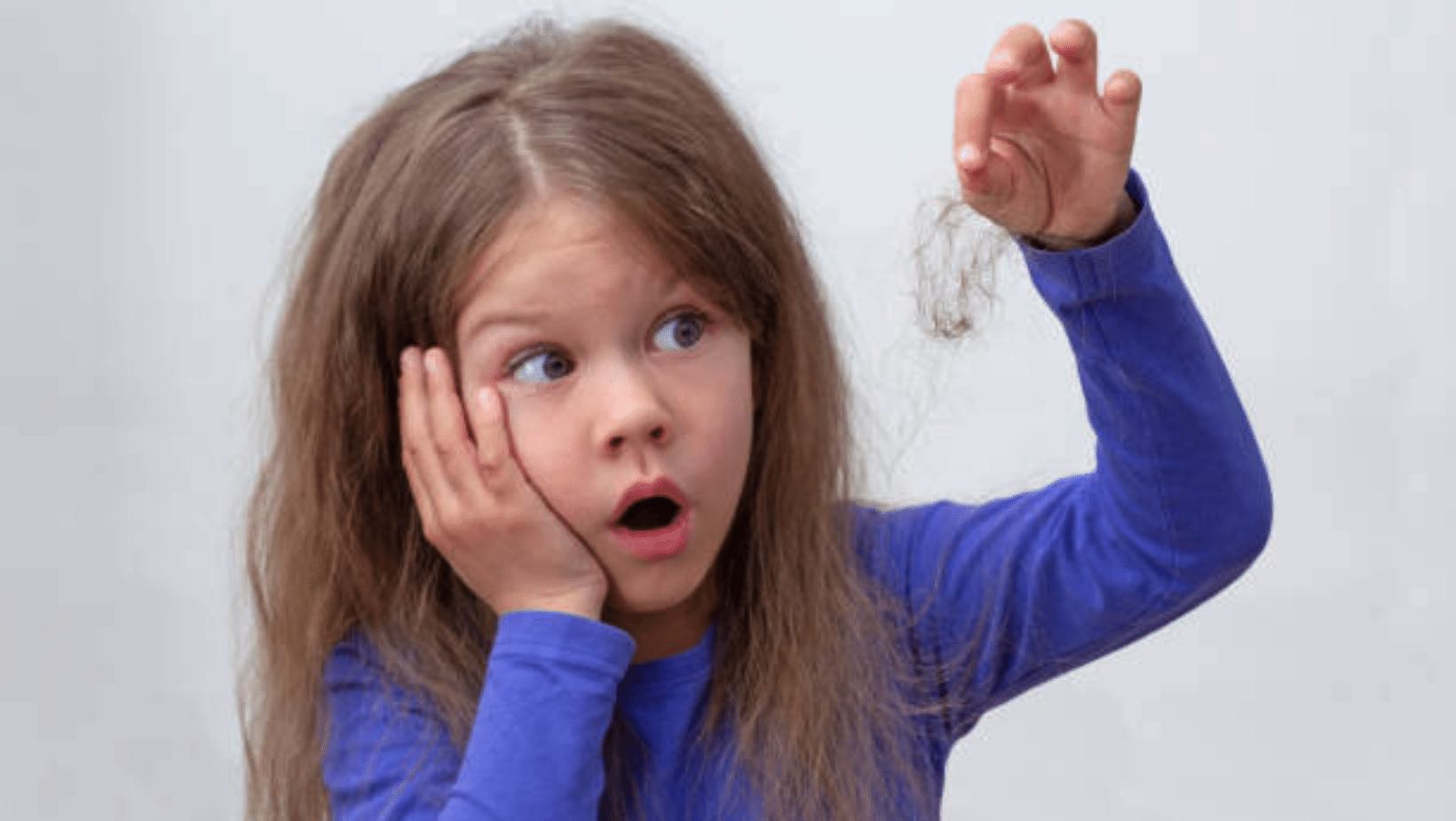 Alopecia | hair loss or hair shedding